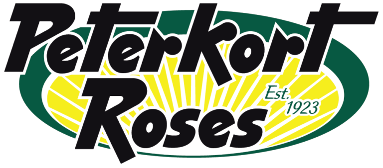 Peterkort Roses - Peterkort Roses
