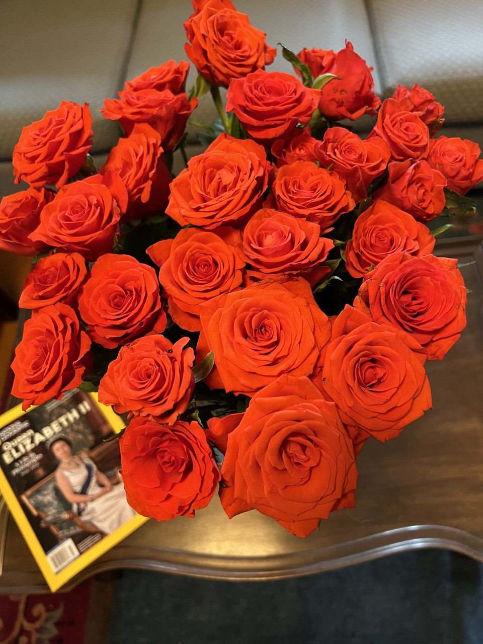 Lucky Red - Peterkort Roses